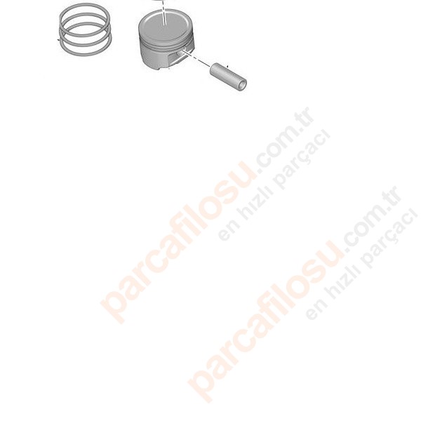 8771590STD Piston, Segman ISS/NURAL Yedek Parça Fiyatı